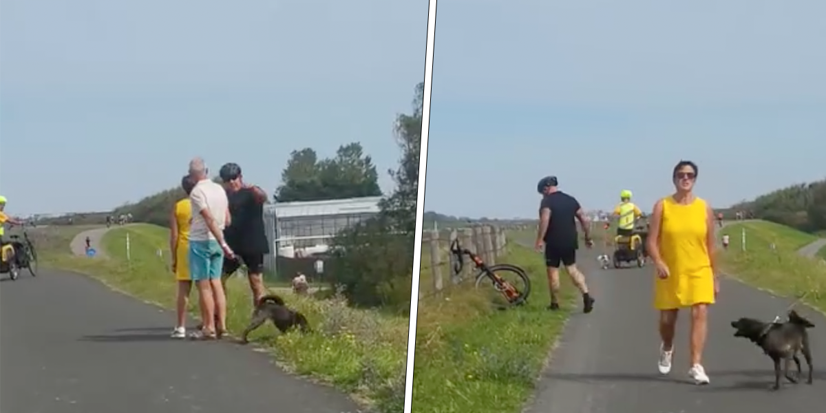 VIDEO: Wielrenner laat zich niet zomaar onderbreken en valt voetgangers aan
